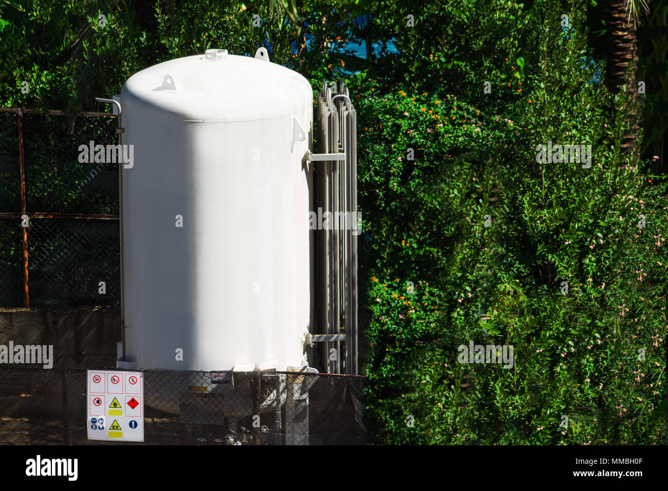 Cistern plant hi-res stock photography and images - Alamy