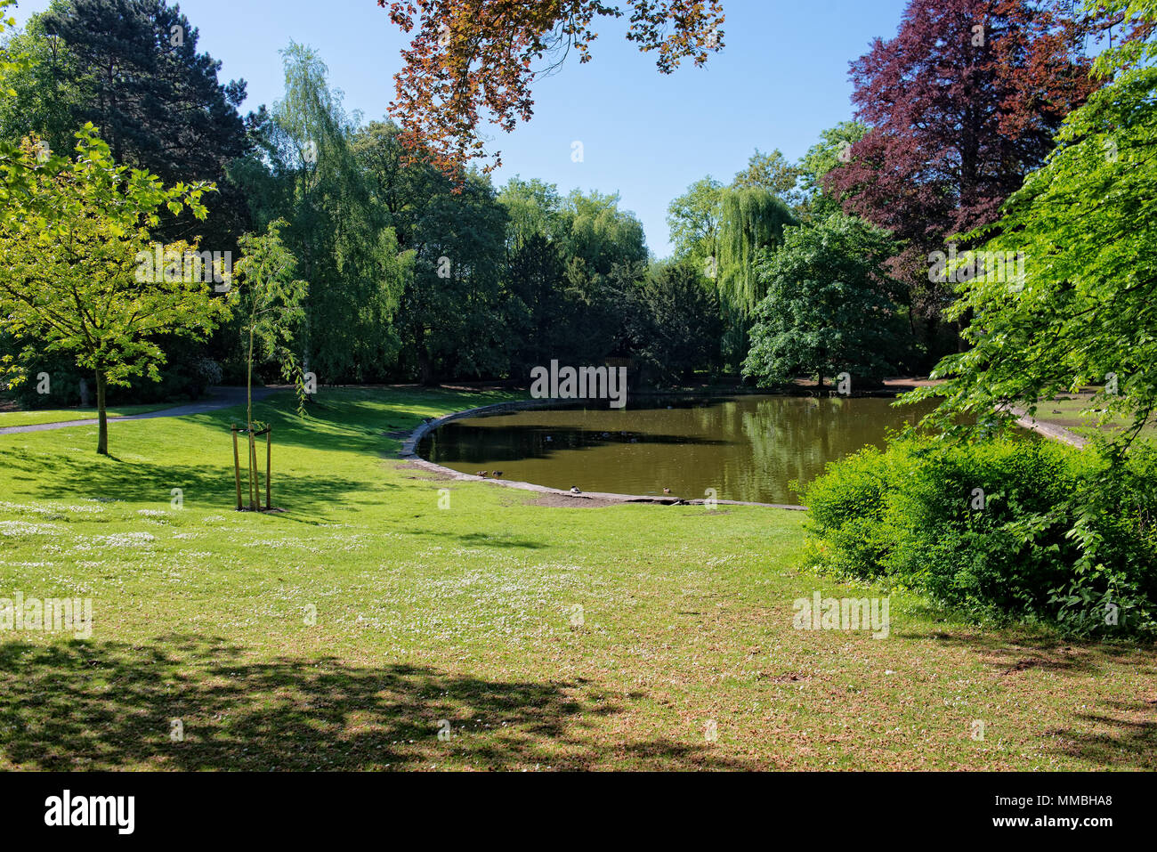 Lake in public parc Waux-Hall in Mons, Belgium in spring Stock Photo ...