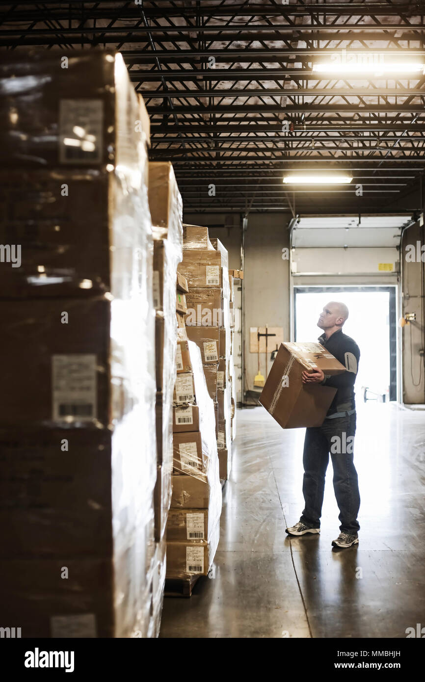 Caucasian male waehouse worker checking inventory on stacks of ...