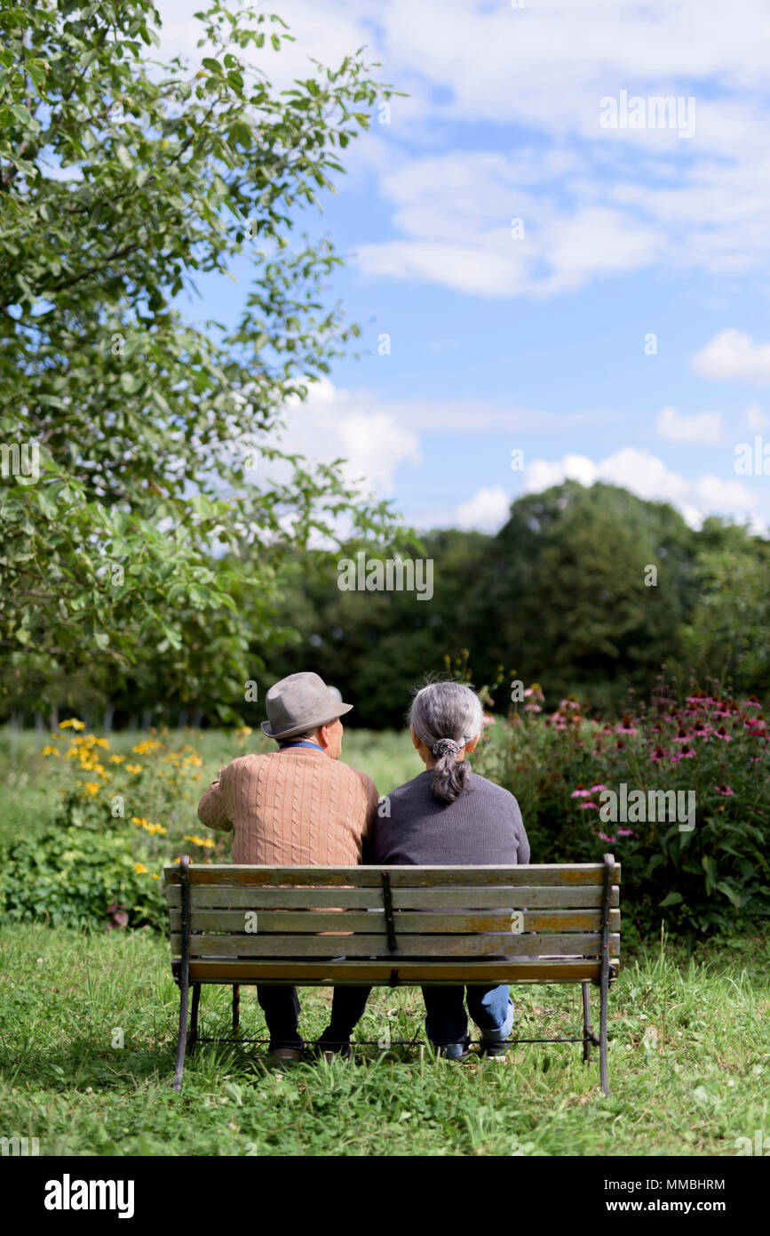 Elderly woman sitting rear view bench hi-res stock photography and ...
