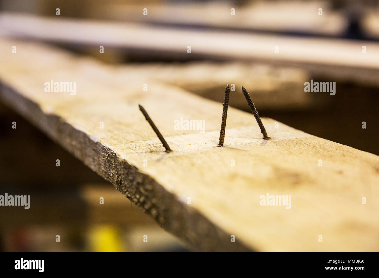 Close up of three rusty nails sticking out of a wooden plank Stock ...