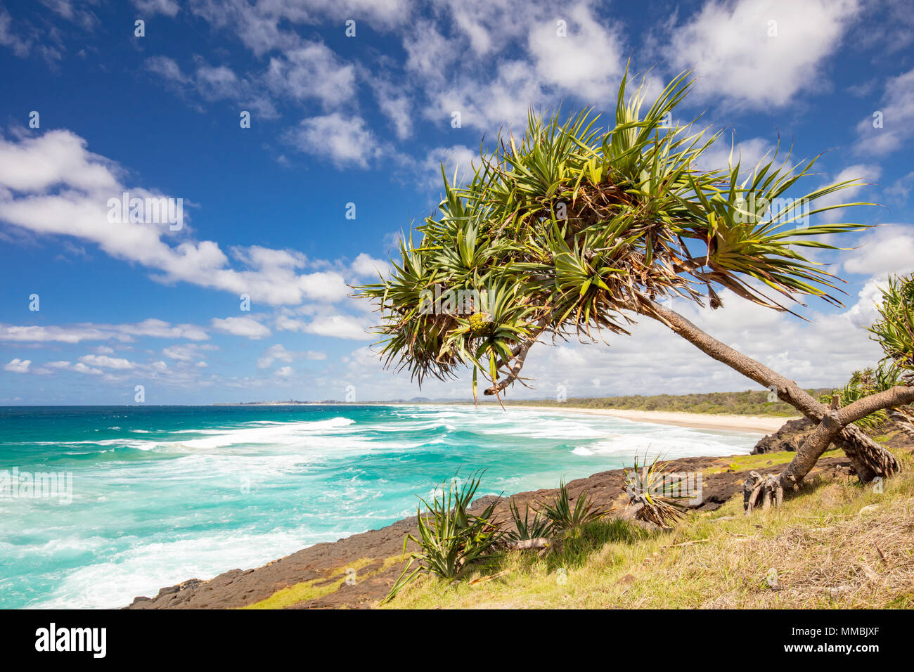 Dreamtime hi-res stock photography and images - Alamy