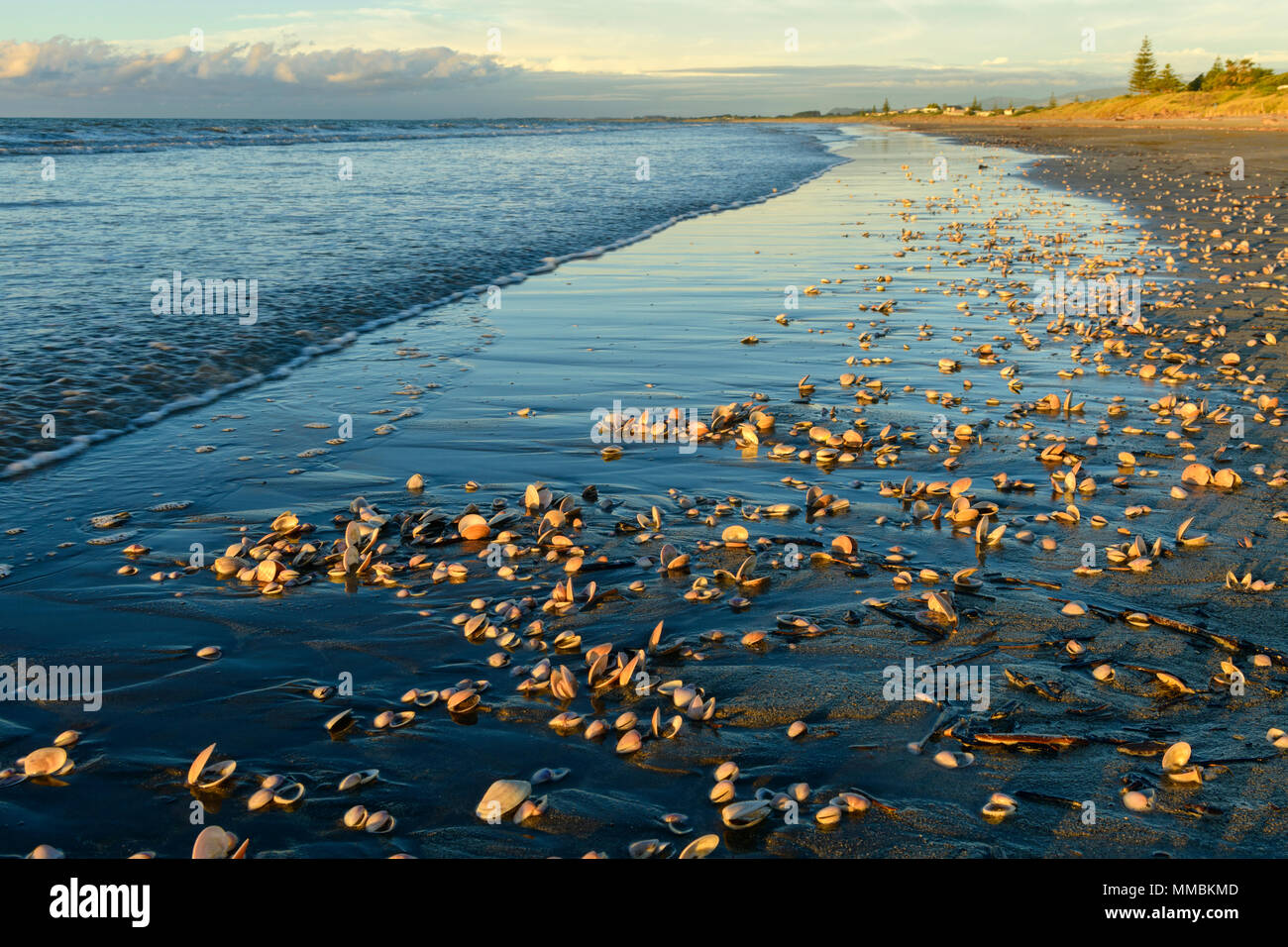 Waikanae beach new zealand hi-res stock photography and images - Alamy