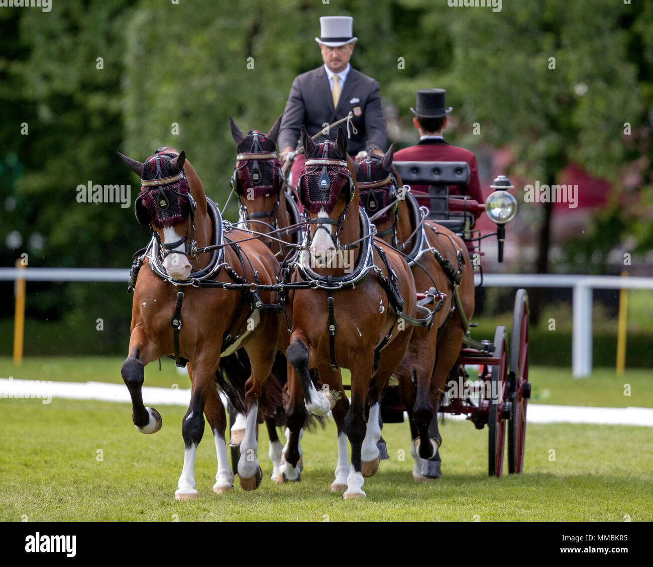 Chester weber competes hi-res stock photography and images - Alamy