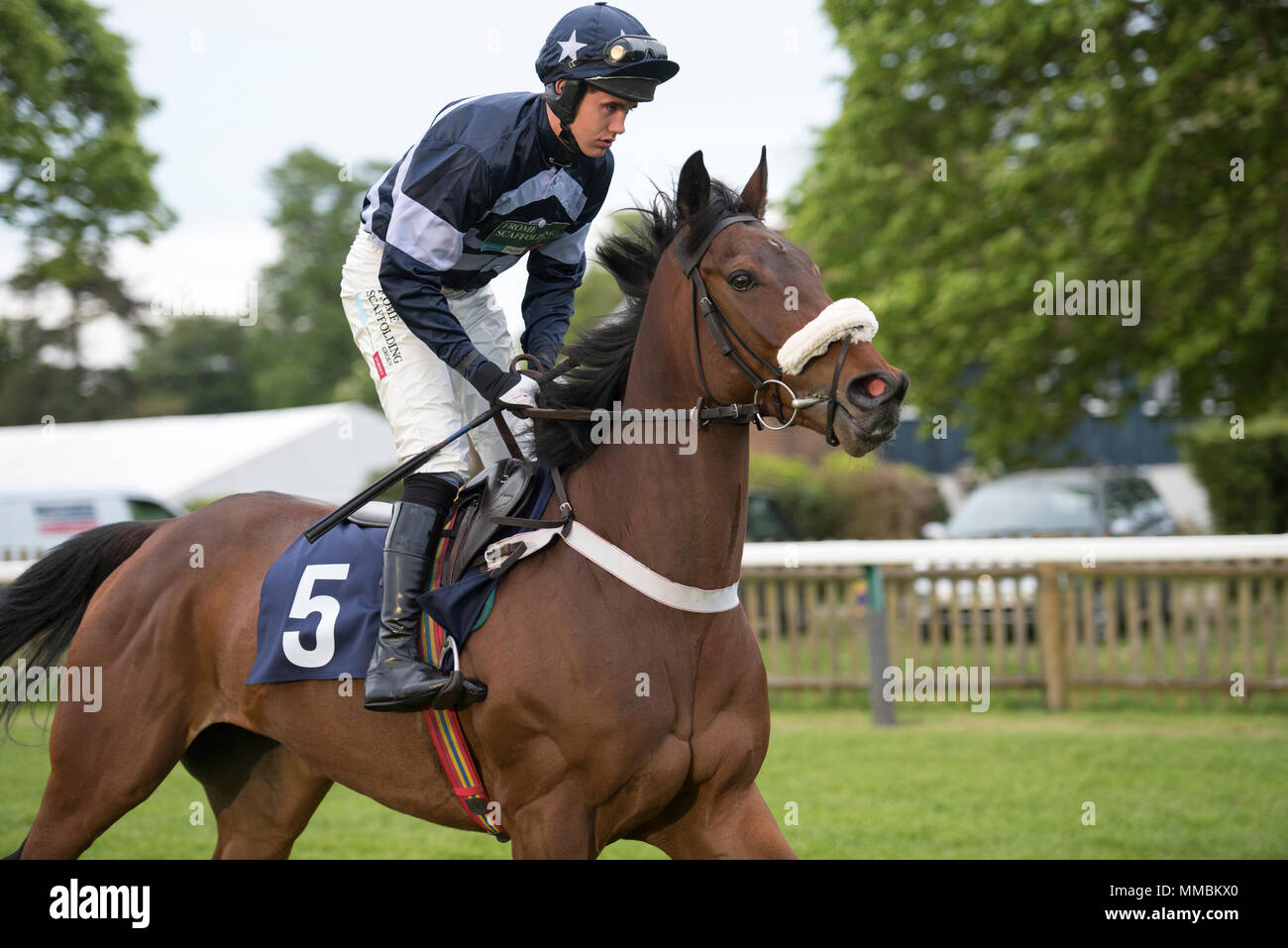 Fontwell horse racing hi-res stock photography and images - Alamy