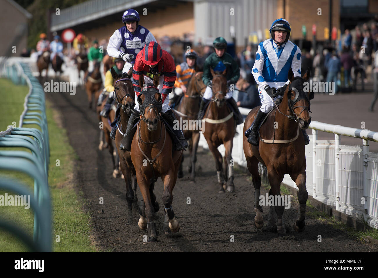 Fontwell horse racing hi-res stock photography and images - Alamy