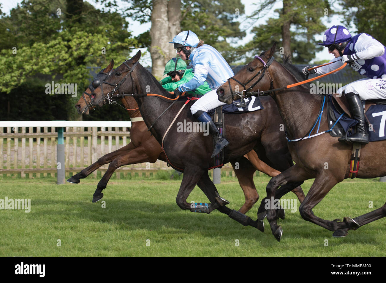 Fontwell horse racing hi-res stock photography and images - Alamy