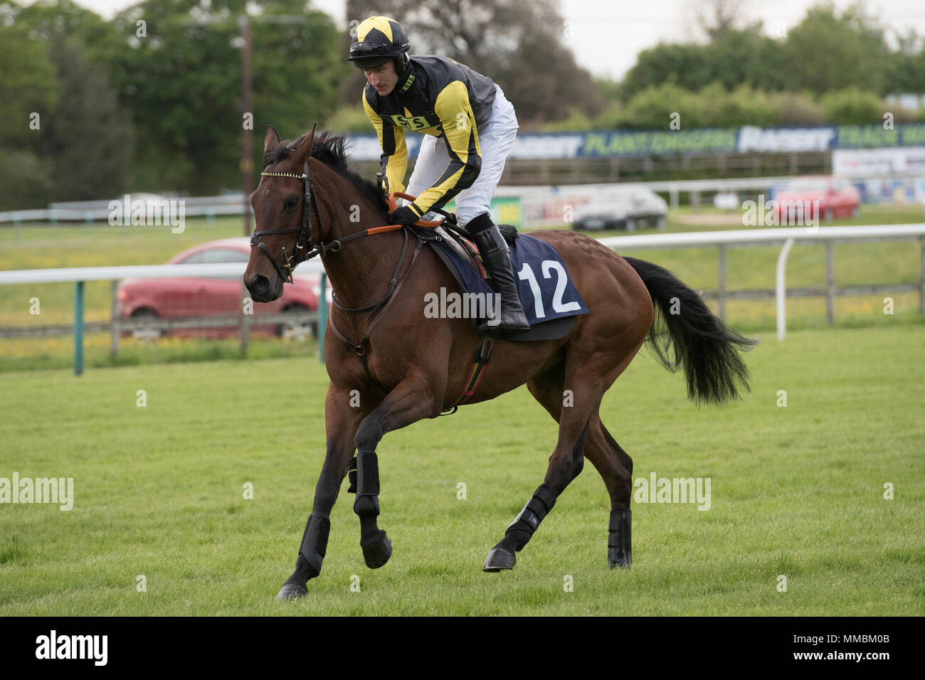 Fontwell horse racing hi-res stock photography and images - Alamy