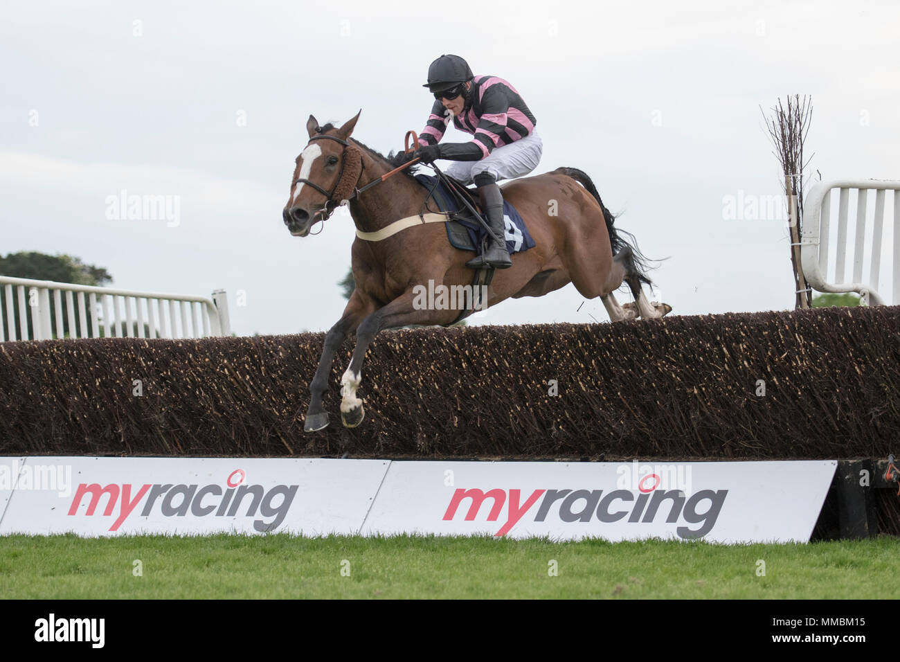 Fontwell horse racing hi-res stock photography and images - Alamy