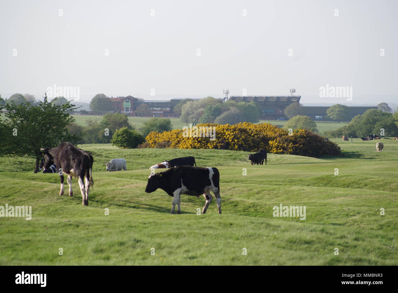 Beverley common hi-res stock photography and images - Alamy