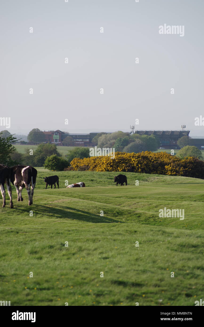 Beverley common hi-res stock photography and images - Alamy