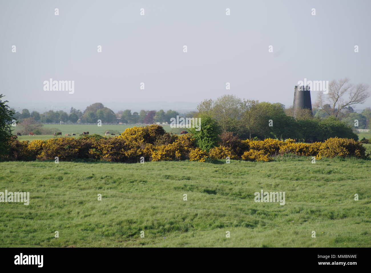 Beverley common hi-res stock photography and images - Alamy