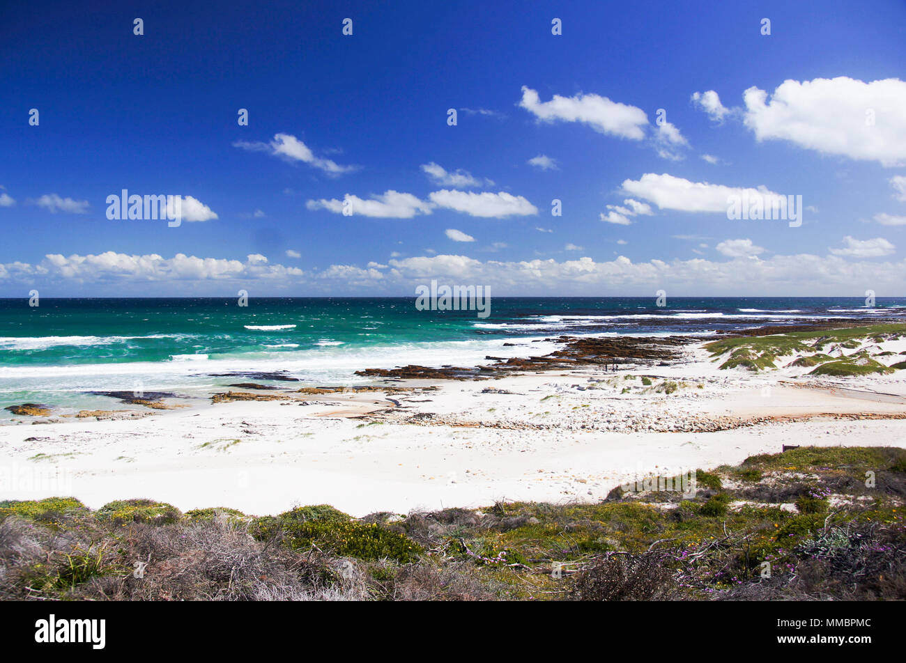 Beach in Cape of Good Hope Stock Photo - Alamy