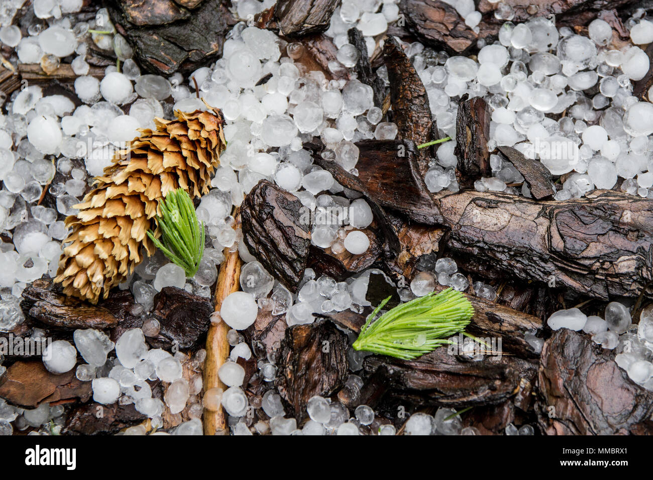 Anomalies hi-res stock photography and images - Alamy