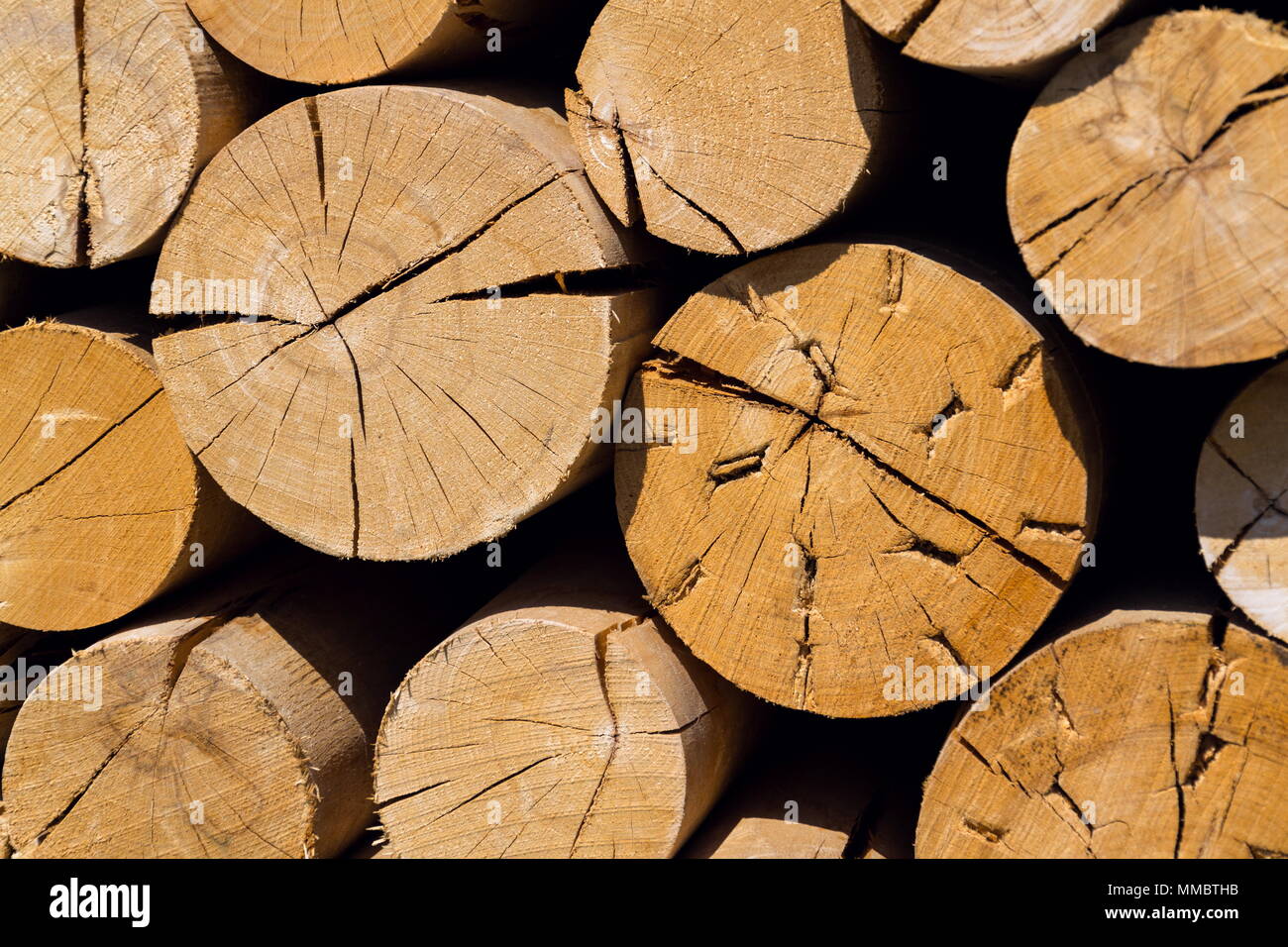 Pile of worked wooden roundish clear beautiful logs, stacked firewood ...