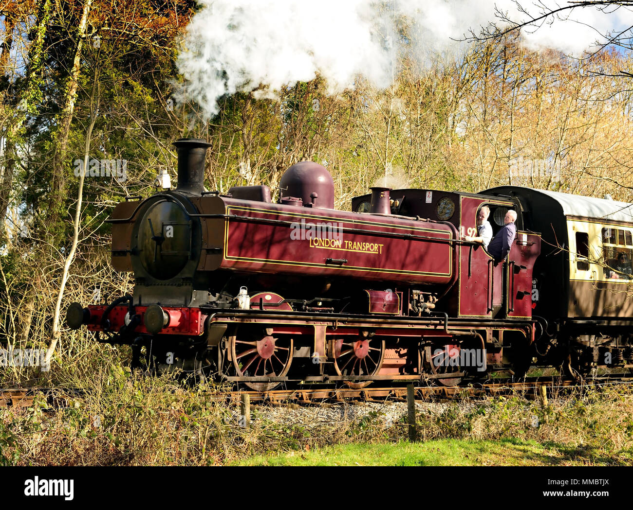 A steam train on the South Devon Railway at Staverton, hauled by London ... A steam train on the South Devon Railway at Staverton, hauled by London ...