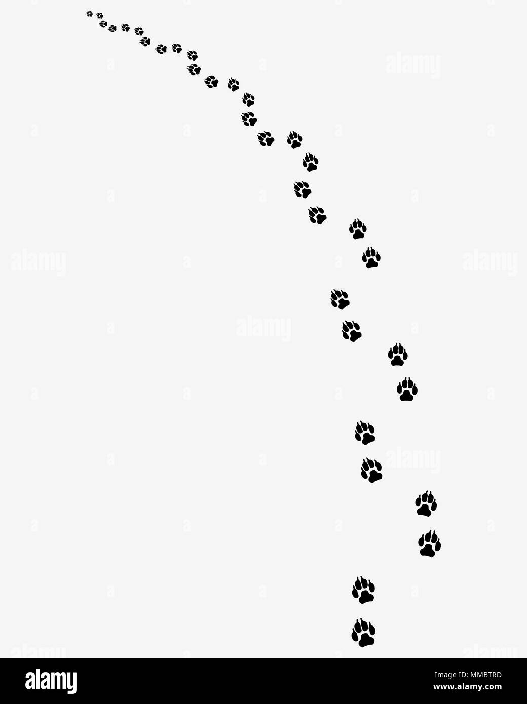 Trace dogs hi-res stock photography and images - Alamy