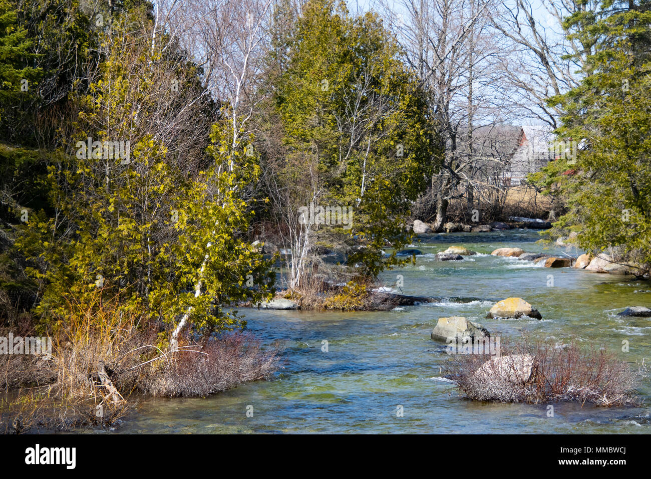 Stream in spring hi-res stock photography and images - Alamy