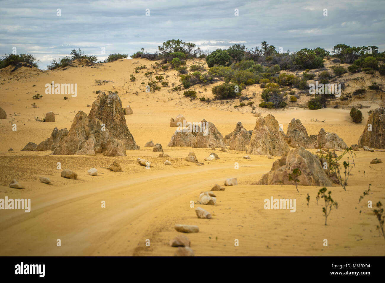 The Pinnacles Desert Stock Photo - Alamy