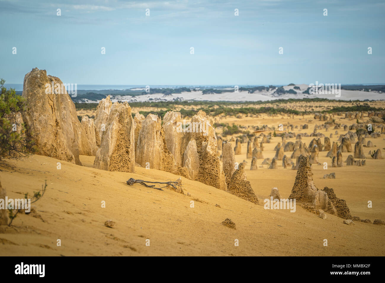 The Pinnacles Desert Stock Photo - Alamy