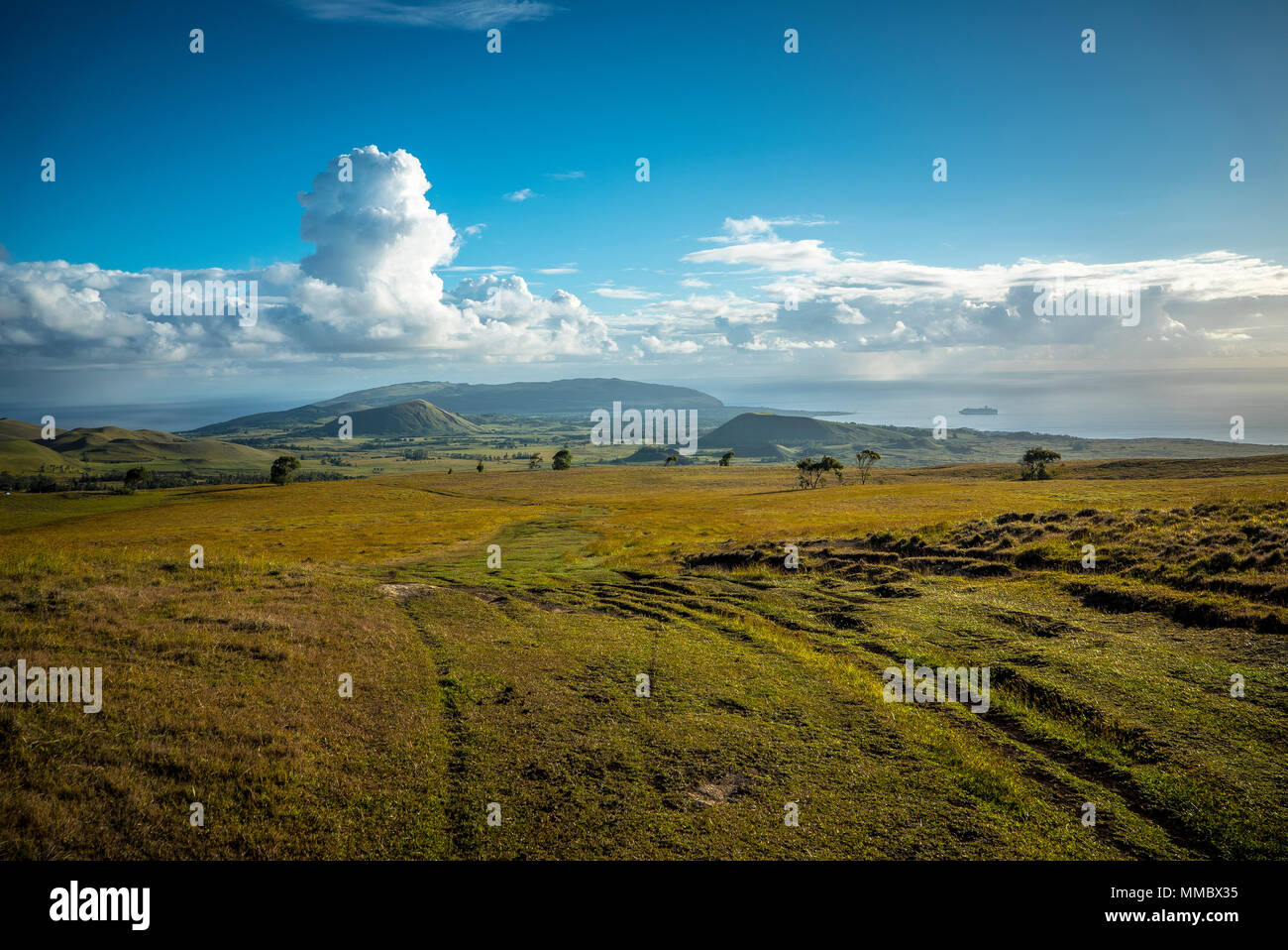 Rapa Nui Moai Statues Easter Island Stock Photo - Alamy