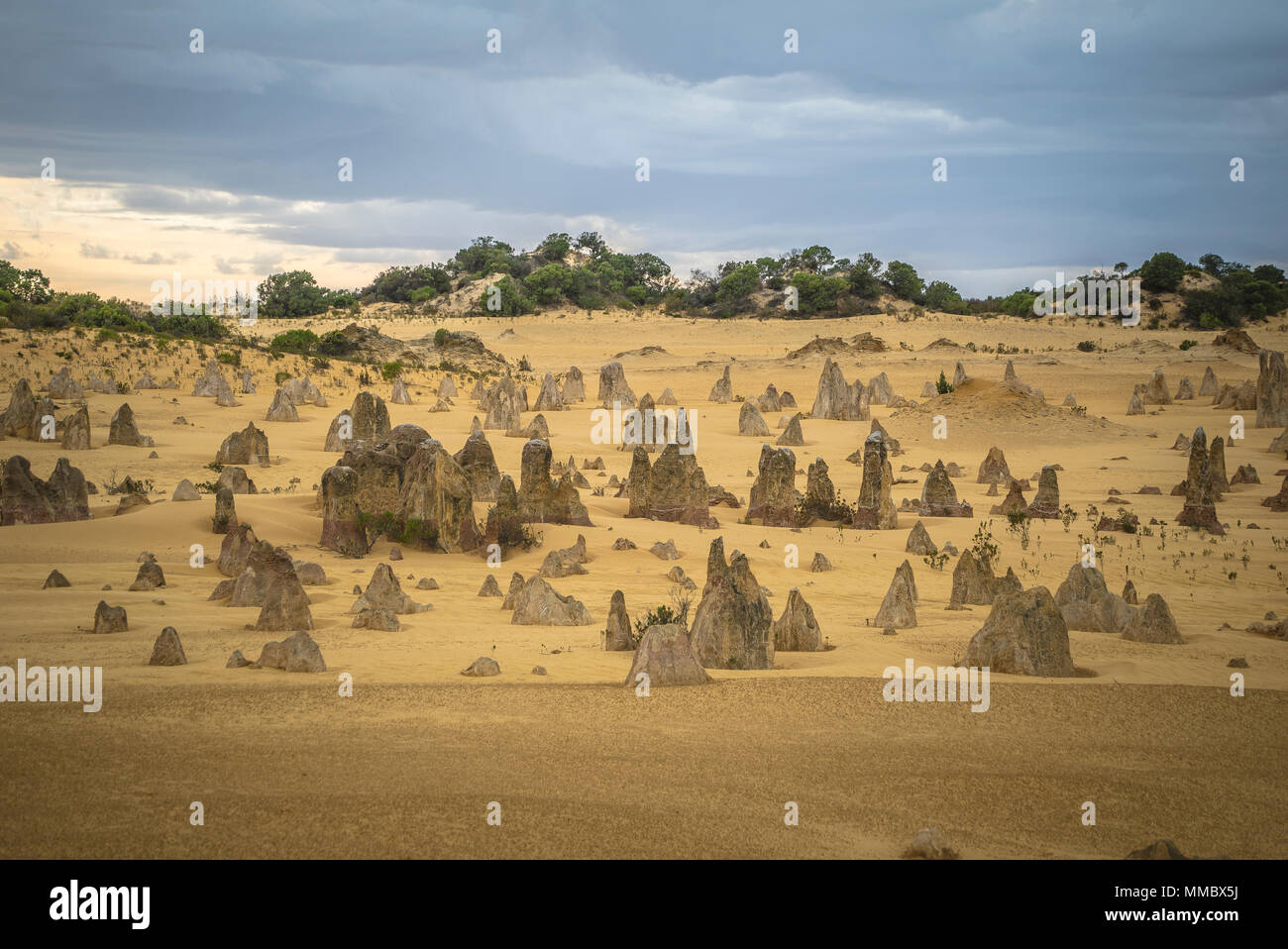 Australia forest desert hi-res stock photography and images - Alamy