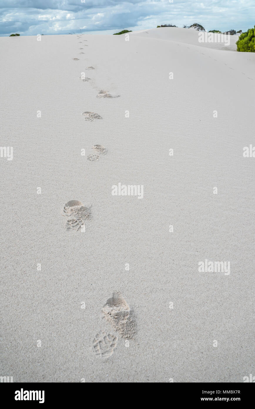 The Pinnacles Desert Stock Photo - Alamy