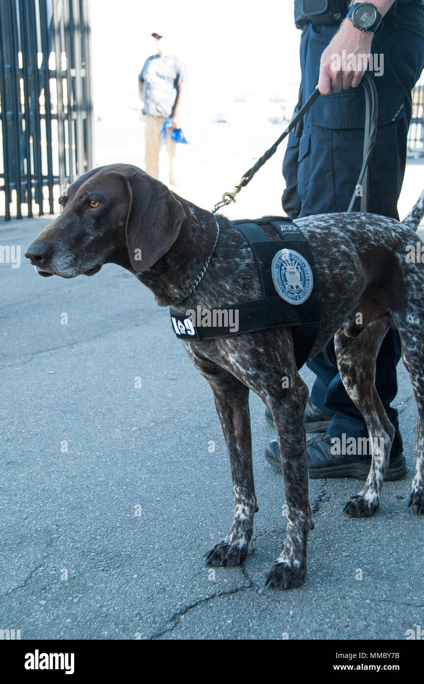 Devon festivities hi-res stock photography and images - Alamy