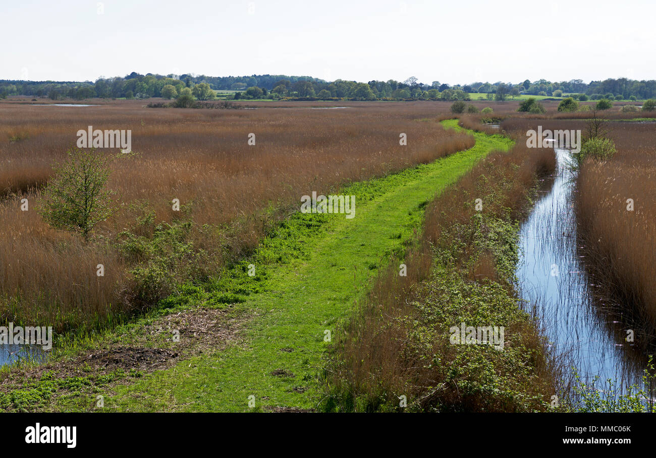 Minsmere, RSPB nature reserve, Suffolk, England UK Stock Photo - Alamy