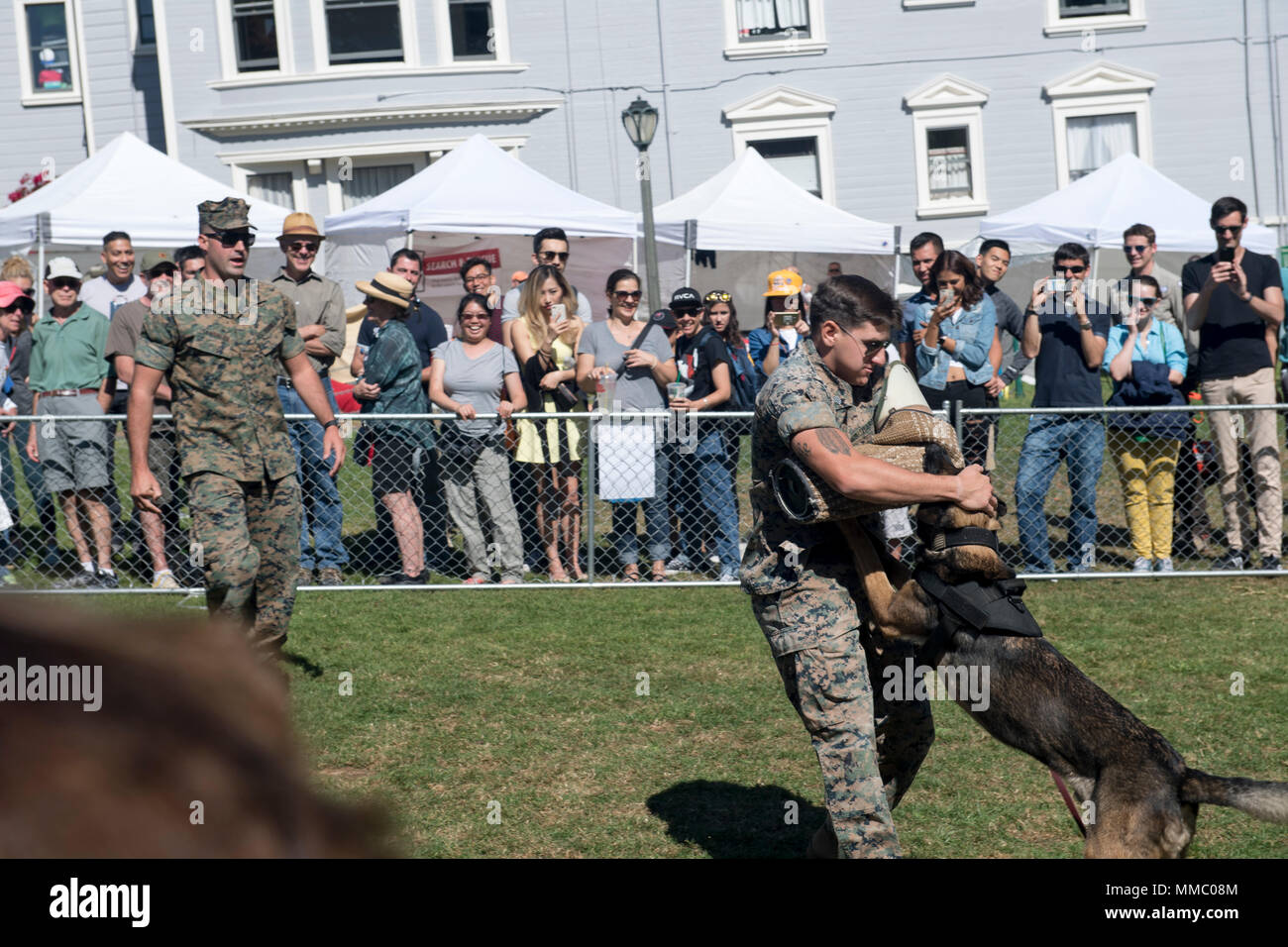 First responder dog hi-res stock photography and images - Alamy