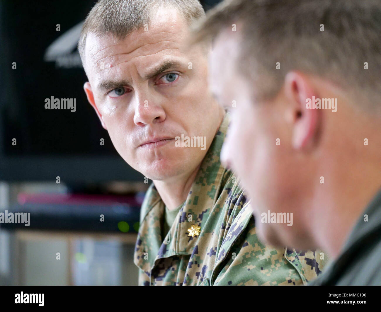 Sharpy hi-res stock photography and images - Alamy