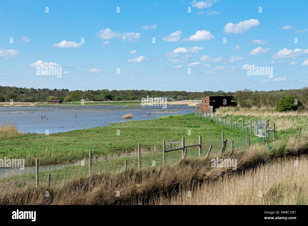 Minsmere, RSPB nature reserve, Suffolk, England UK Stock Photo - Alamy