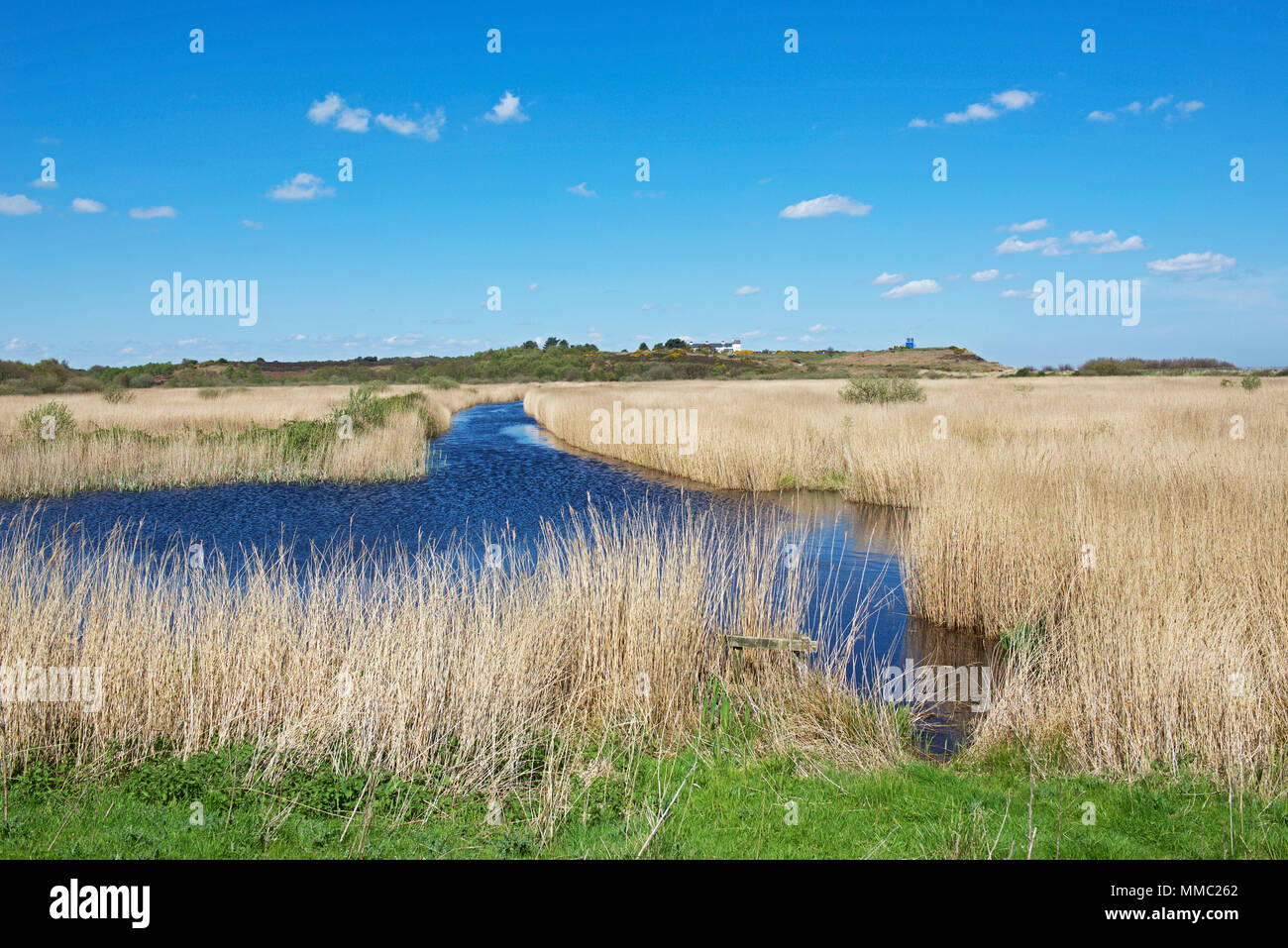 Minsmere nature reserve hi-res stock photography and images - Alamy