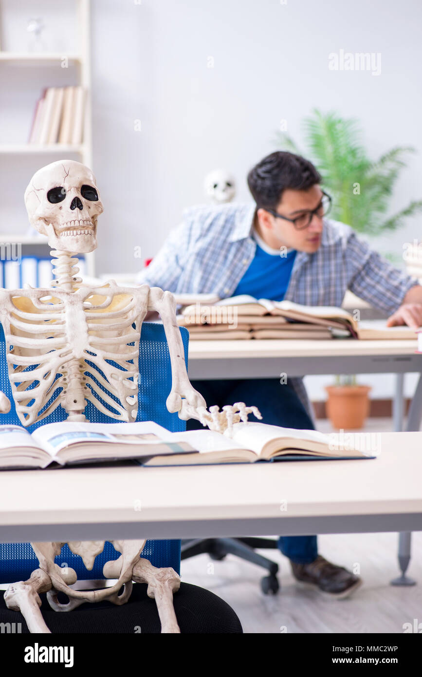 Student skeleton listening to lecture in classroom Stock Photo - Alamy