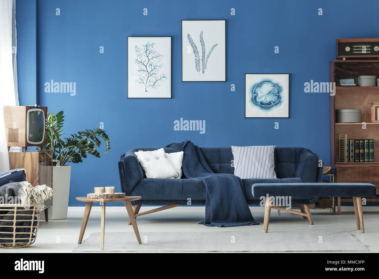 Old fashioned blue lounge with wooden decoration and navy sofa Stock ...