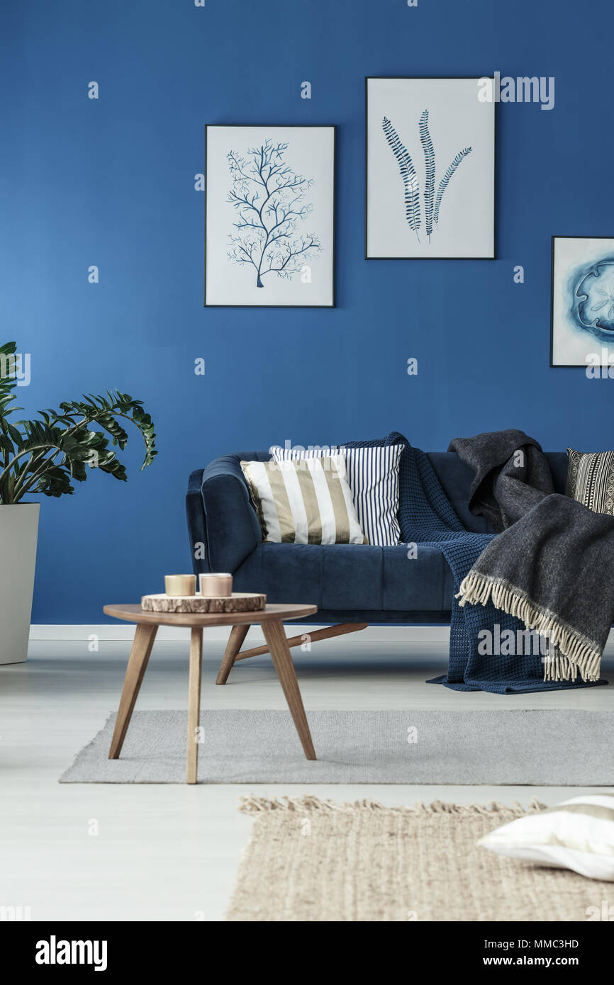 Blue modern interior of cozy spacious lounge with sofa Stock Photo - Alamy