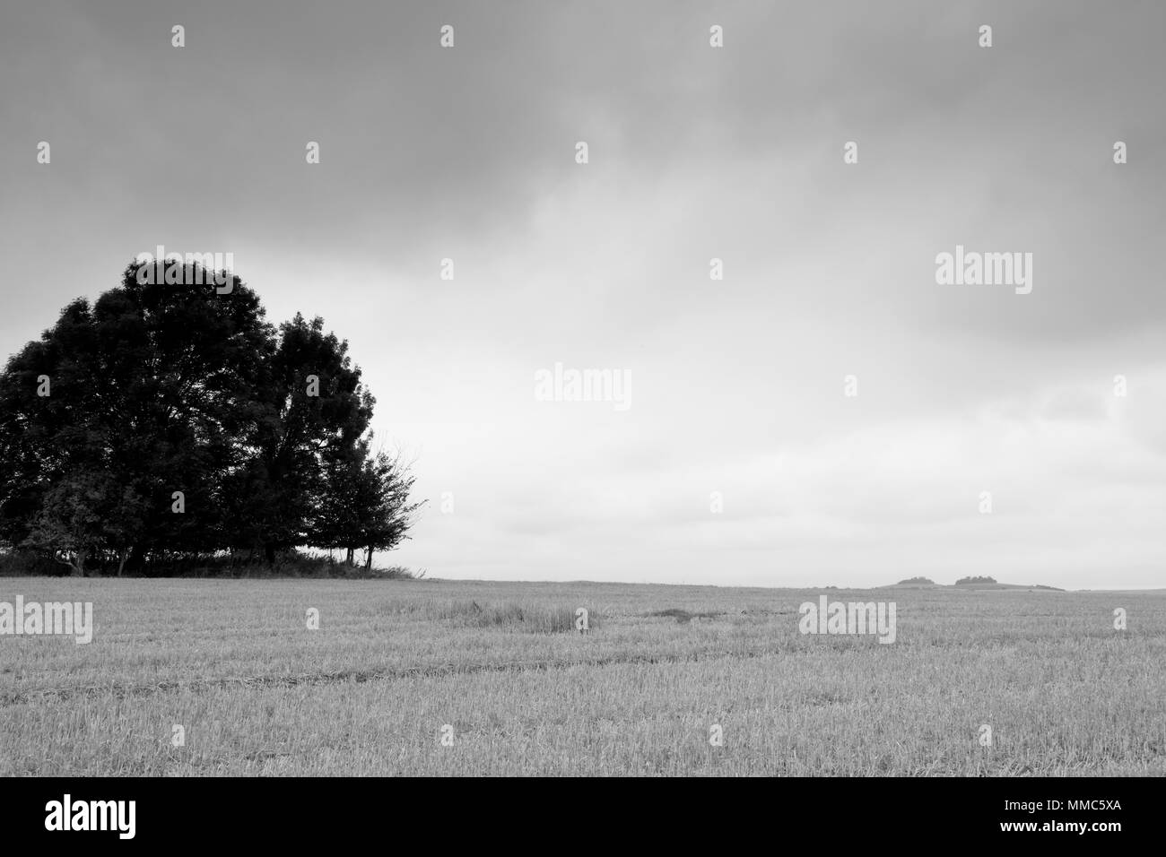 Wittenham clumps oxfordshire hi-res stock photography and images - Alamy