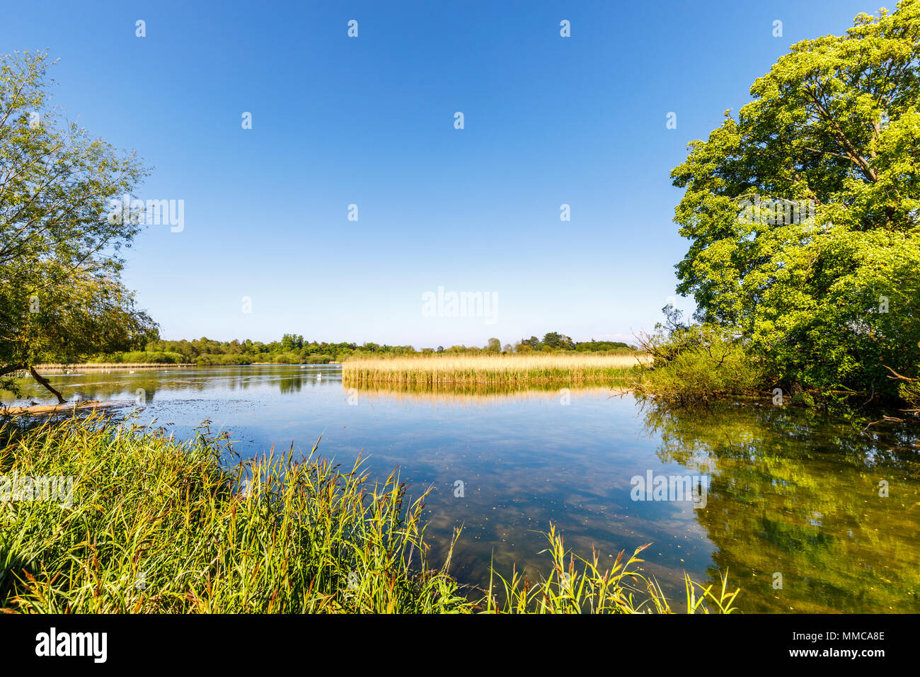 Old alresford hi-res stock photography and images - Alamy