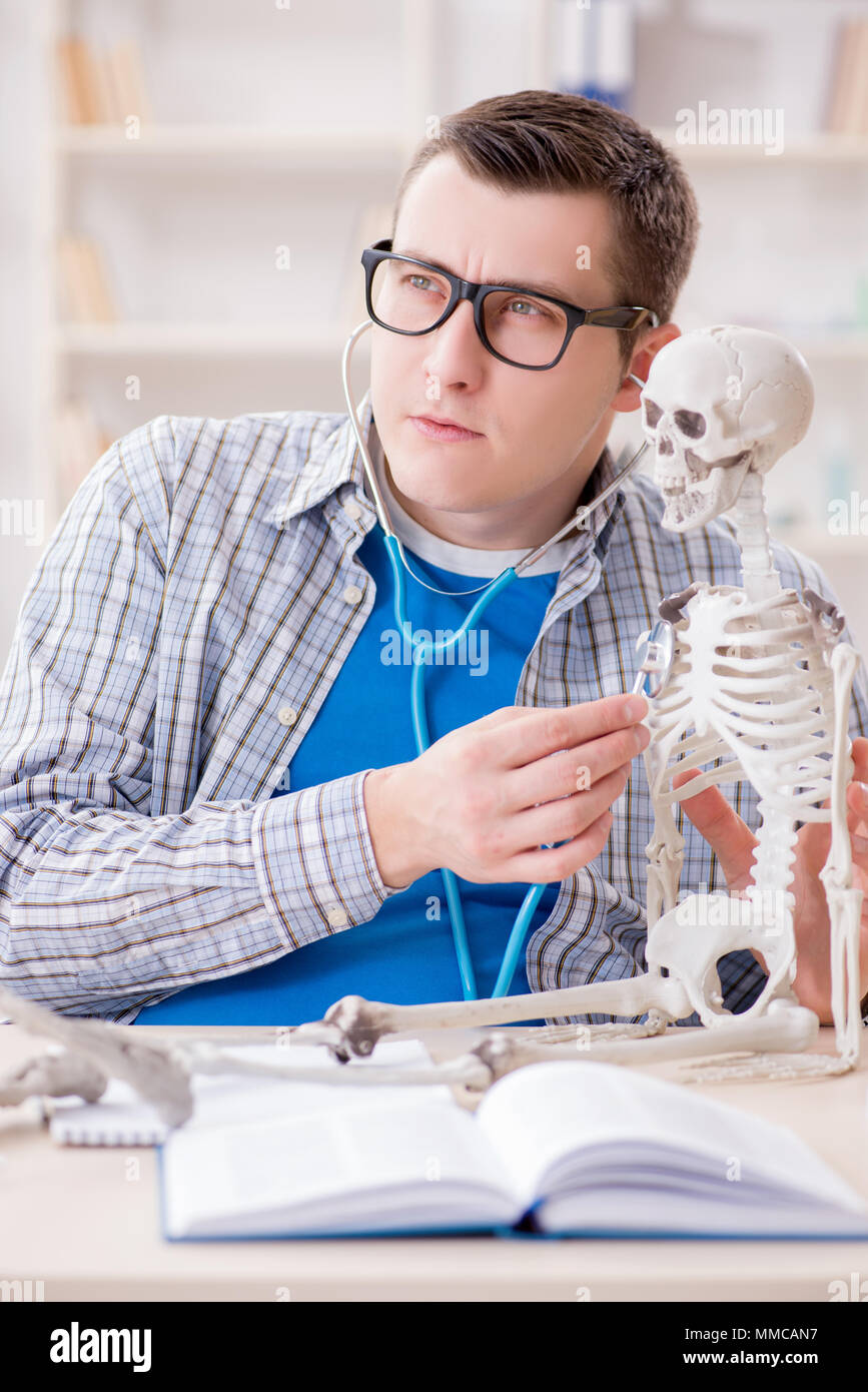 Medical student studying skeleton in classroom during lecture Stock ...