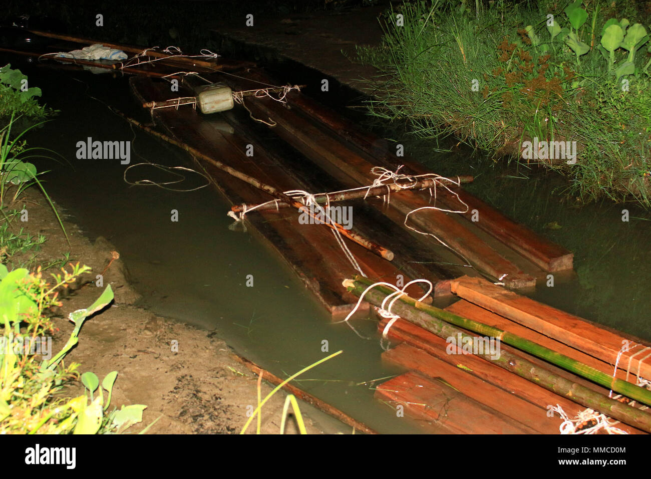 Illegal timber seen in the river coming from the protected forests of ...