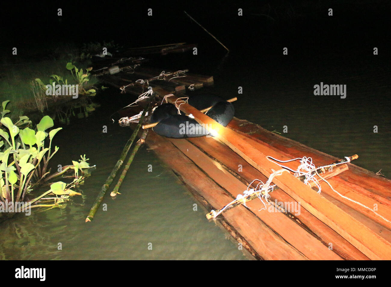 Illegal timber seen in the river coming from the protected forests of ...