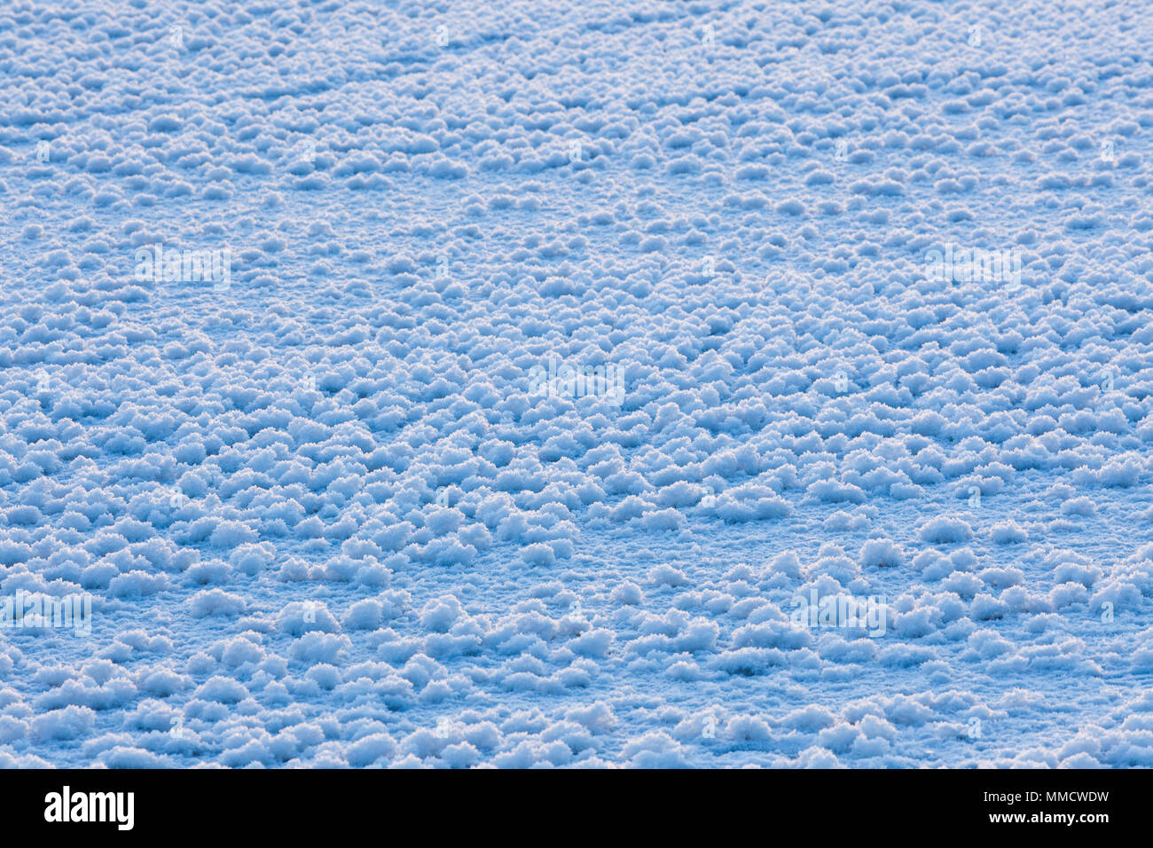 Snow ice crystal formation on ice surface Stock Photo - Alamy