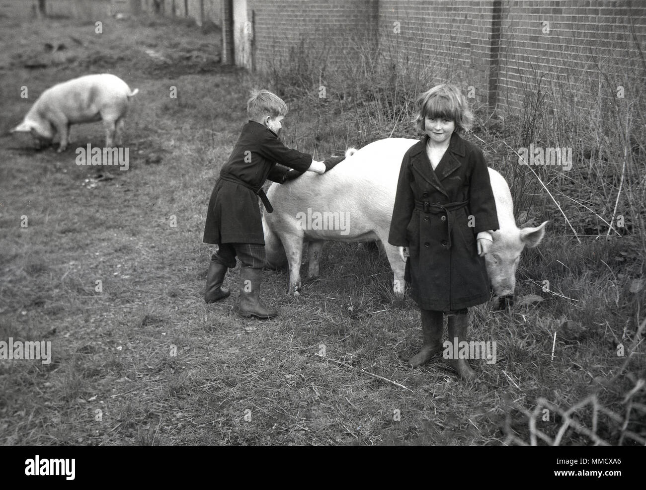 Piglets In Boots