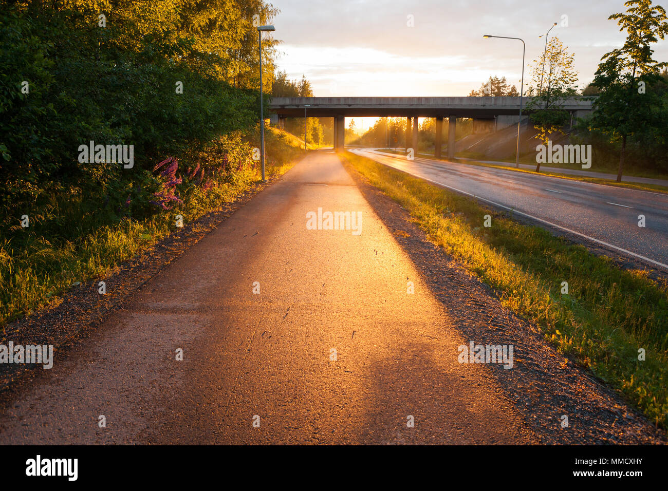Setting sunlight illuminate pavement after rain Stock Photo - Alamy