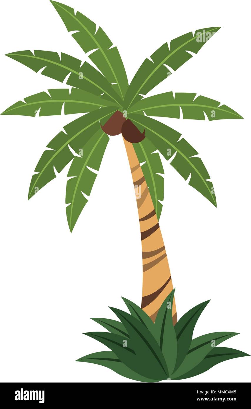 Palm tree isolated Stock Vector Image & Art - Alamy Palm tree isolated Stock Vector Image & Art - Alamy