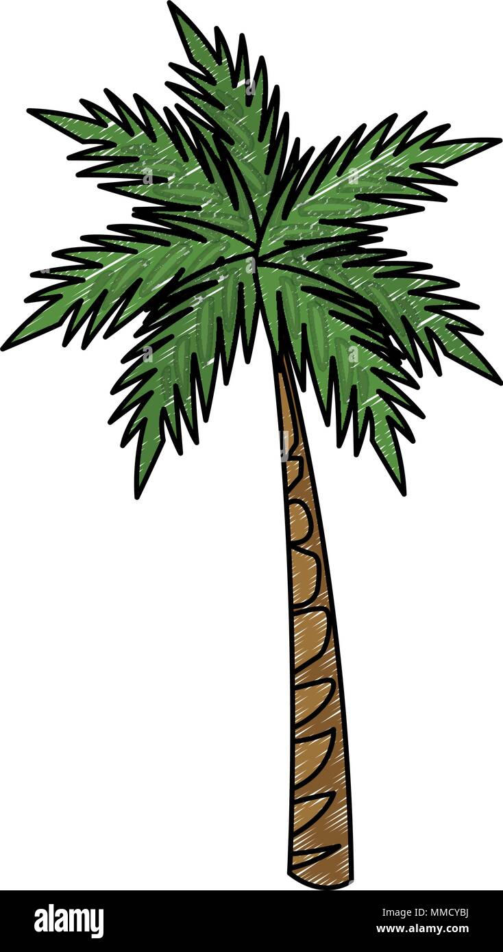 Palm tree bark tropical Stock Vector Images - Alamy