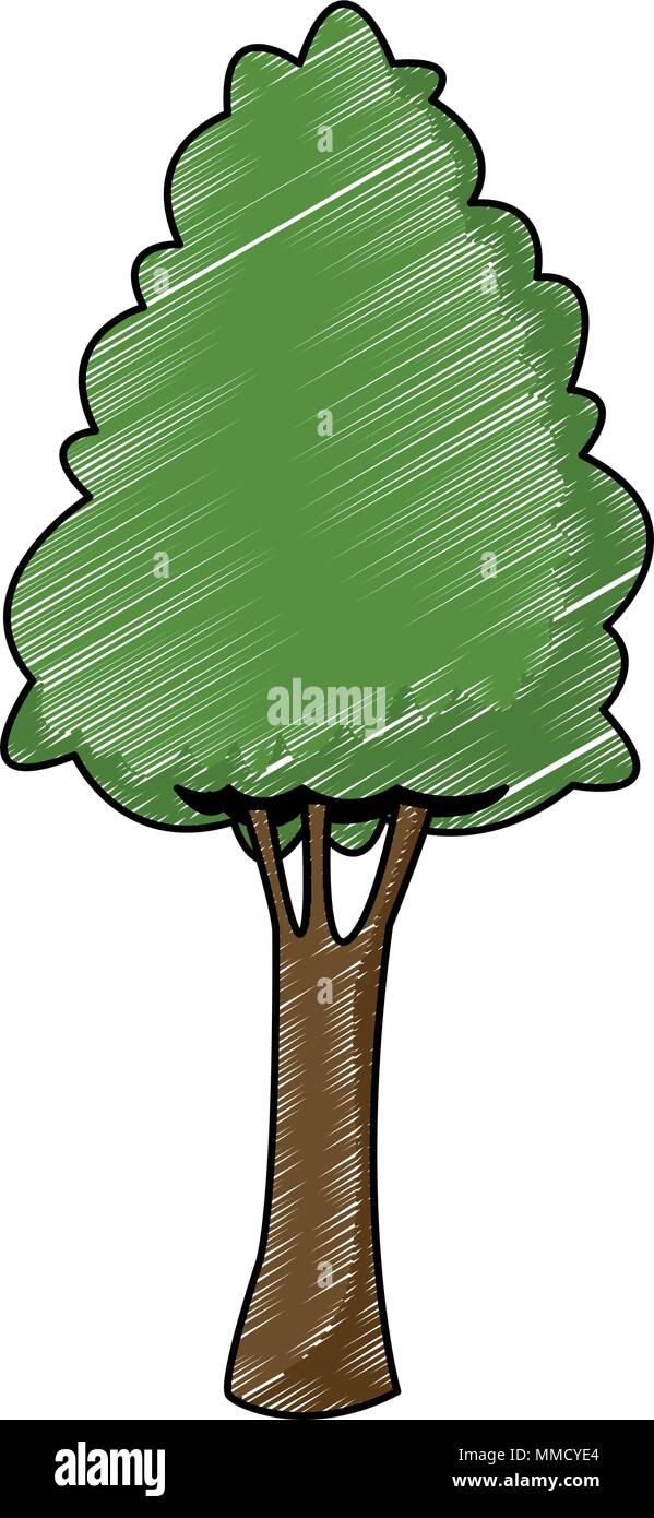 Tree isolated cartoon scribble Stock Vector Image & Art - Alamy