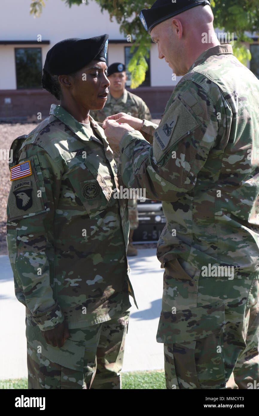 The Ready First Brigade bid farewell to Command Sgt. Maj. Cherry D ...