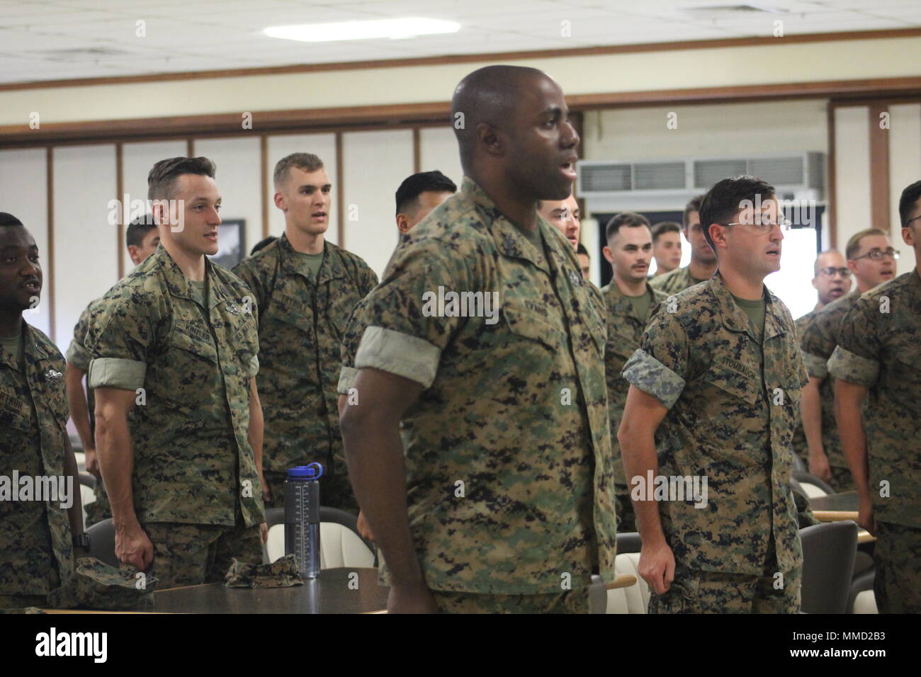 Curlin High Resolution Stock Photography and Images - Alamy