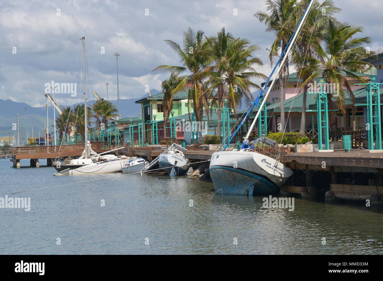 Sailboats sit grounded in the La Guancha Marina after being damaged ...